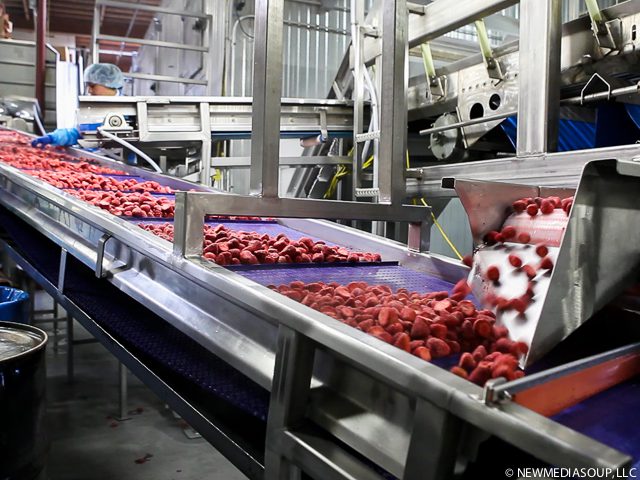 Strawberry Processing - Newmediasoup
