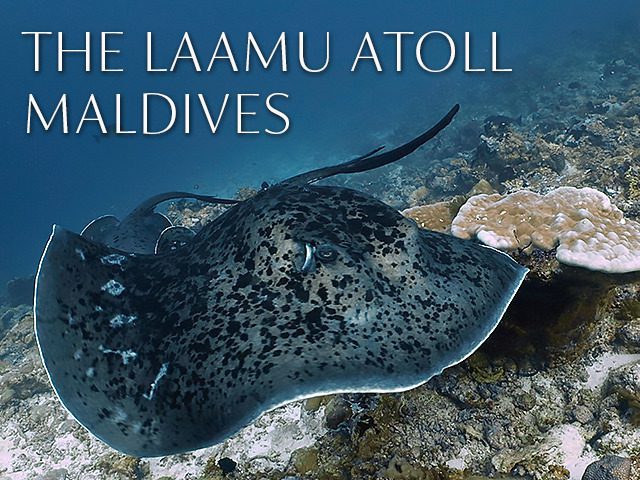 The Laamu Atoll - Maldives - Newmediasoup