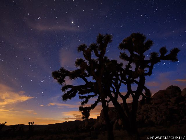 Joshua Tree - Evening & Night Photography - Newmediasoup